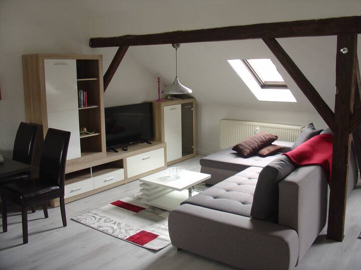 Dg Ferienwohnung In Gera - Gera