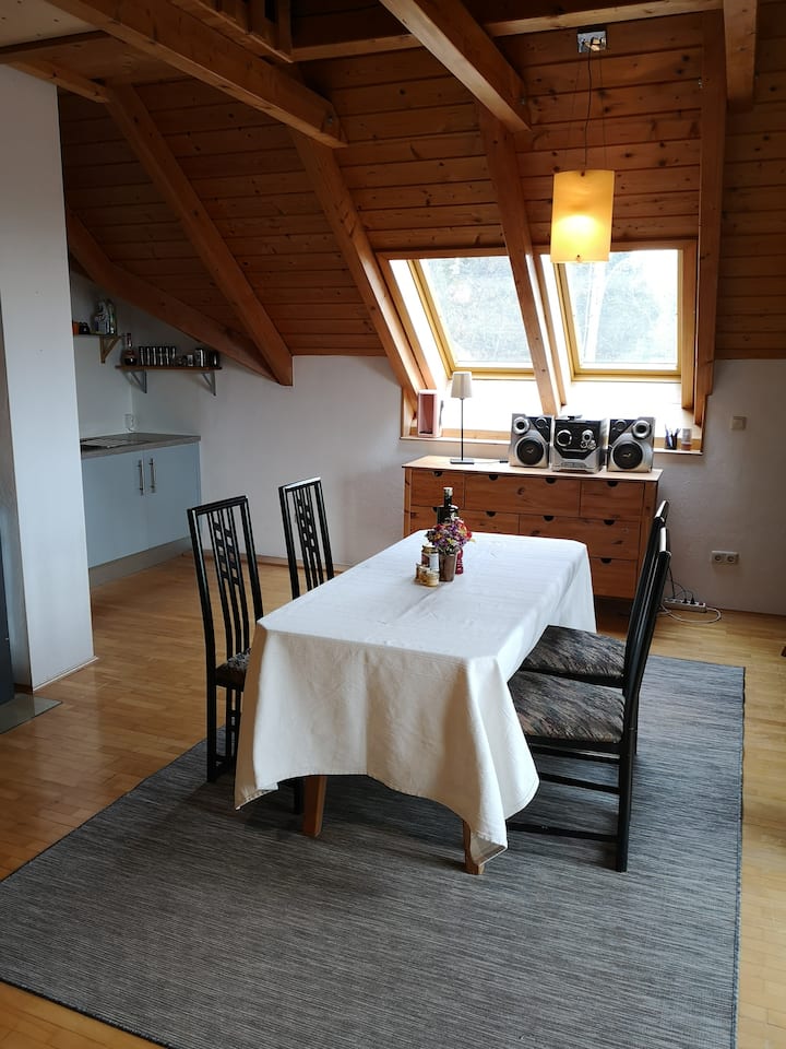 Lichtdurchflutetes Appartement In Einfamilienhaus - Graz