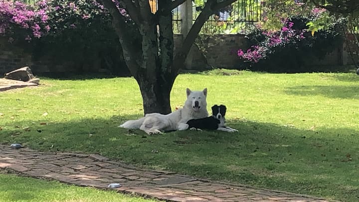 Loft Campestre Urbano Cajicá Wifi - Briceño