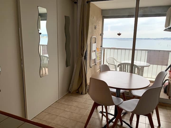 T2 30m2 Classé Flamants Roses - Clim Fred3 - Balaruc-les-Bains