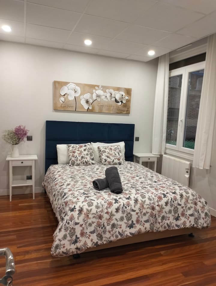 Habitación+baño Privado Pensión Junto Guggenheim - Bilbao