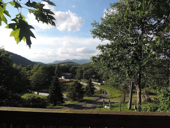 Omg* Log Cabin Guesthouse On Horse Ranch/mtn Views - Boone, NC