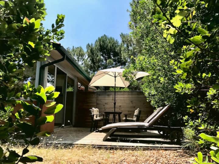 Maisonnette  Presqu'île Cap Ferret Plage à 500m - Cap Ferret