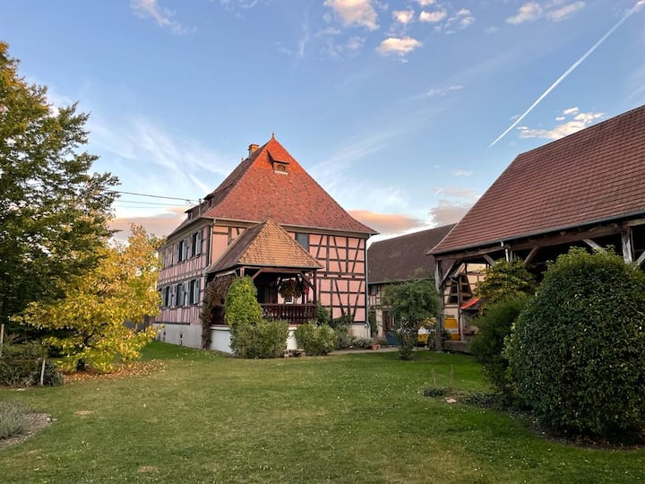 Maison De Campagne Historique Au Charme Alsacien - Marckolsheim