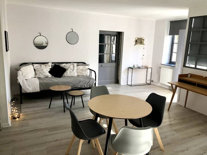 Appartement De Charme En Campagne Lyonnaise - Saint-André-de-Corcy