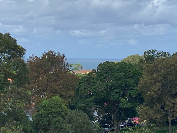 Quiet Top Floor Apartment W/ Views & Attic Retreat - Surry Hills