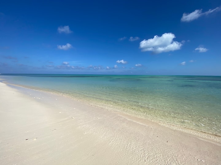 "One Love" Private Condo Directly On The Beach. - Turks and Caicos Islands