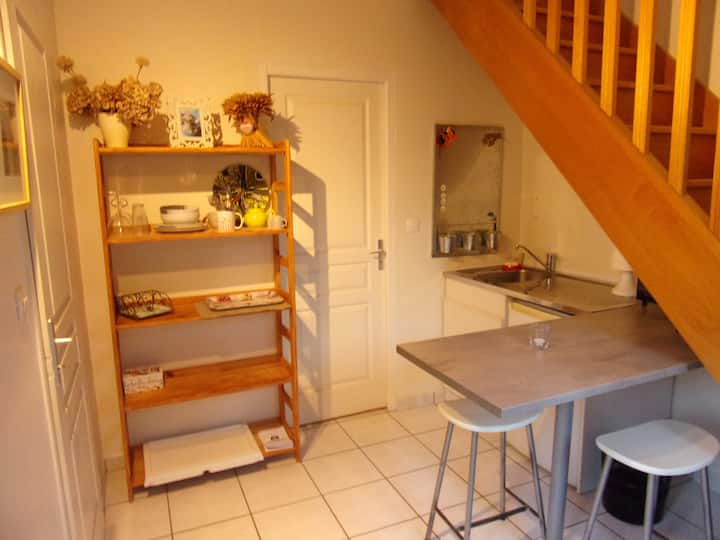 Studio En Duplex Avec Jardinet Au Calme - Oullins