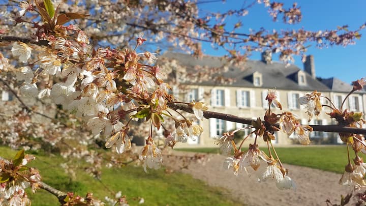 Château La Rose Blanche - Villers-Bocage