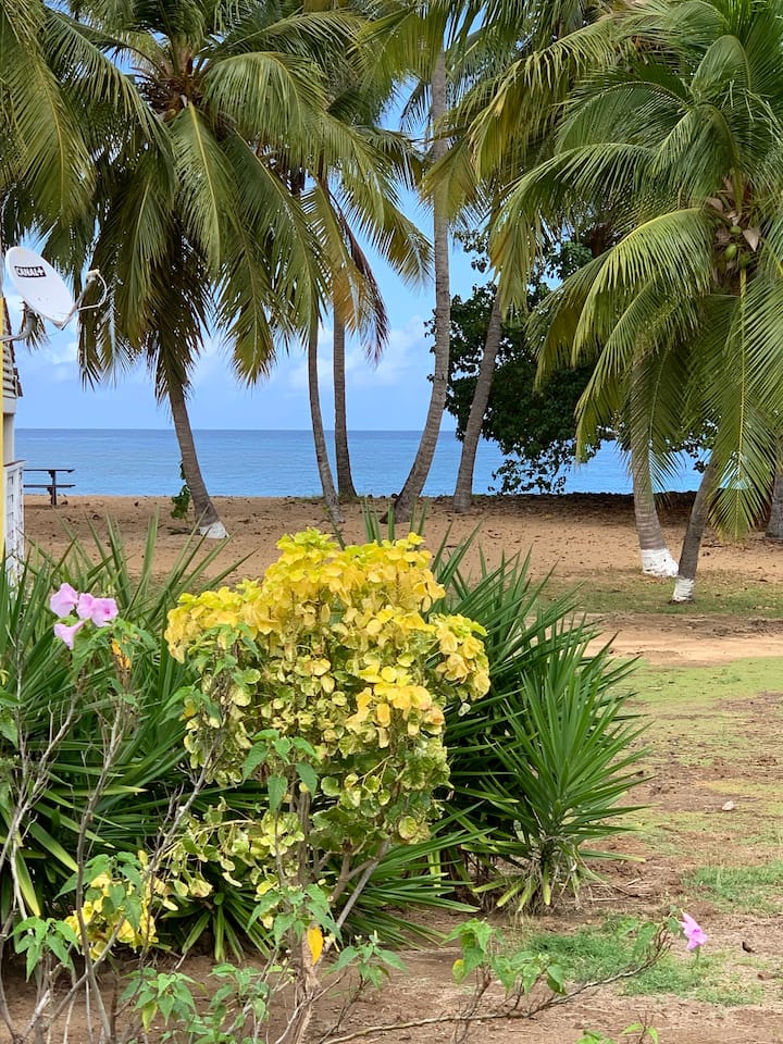 Villa Créole, Charmant T2, Tartane, Anse L’étang - Martinique