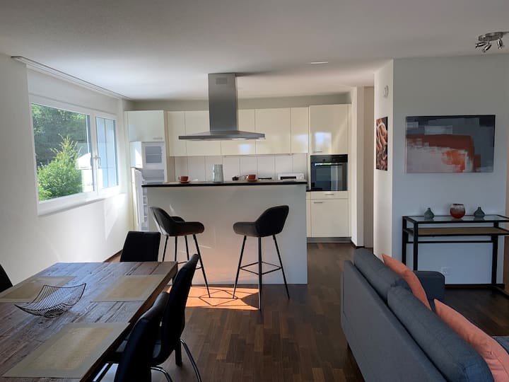 Beautiful 3-bed Apartment - 5 Minutes To The Lake - Morges