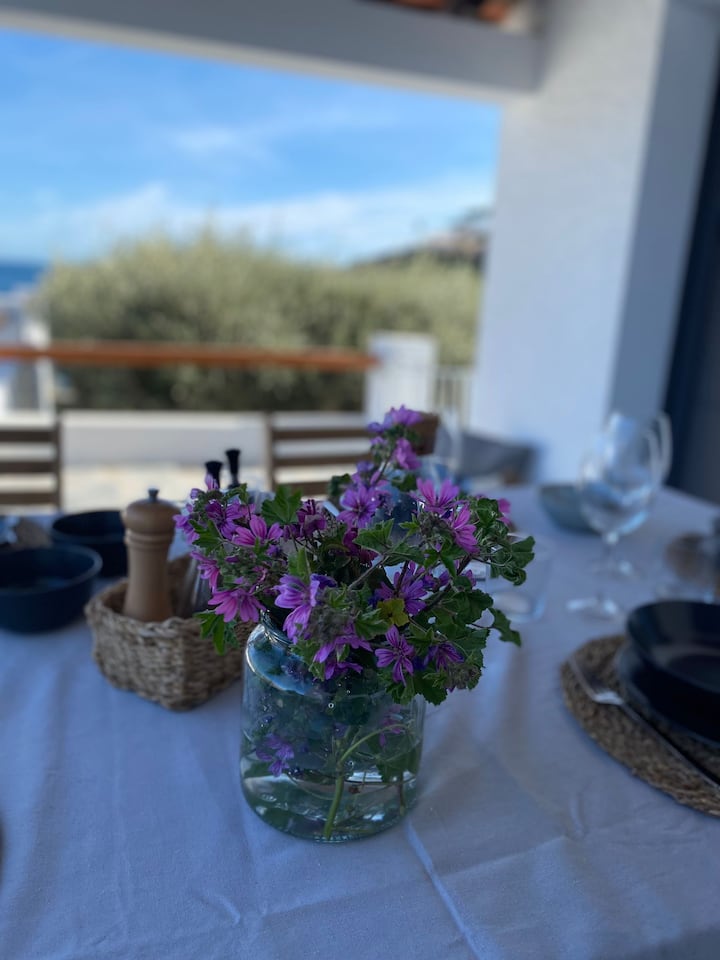 Acogedora Casa En Primera Línea De Mar Cadaqués - Cadaqués