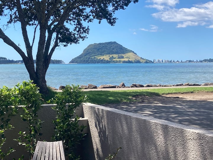 Tauranga Waterfront House - Tauranga