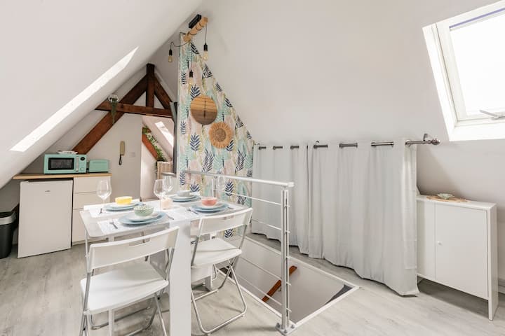 *Le Petit Cocon D'illkirch - Illkirch-Graffenstaden