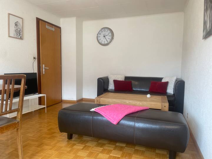 Grande Chambre Privée Avec Salle De Bains Partagée - Sierre