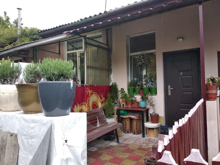 Cheerful Tiny House In Chisinau - Kişinev