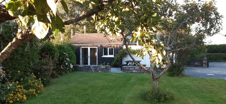 Cosy Studio Cabin Near Lough Hyne - Skibbereen