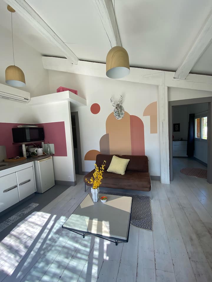 Superbe Petit Mas à L'isle Sur Sorgue - L'Isle-sur-la-Sorgue