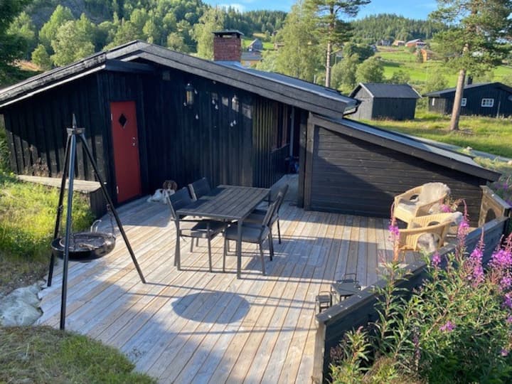 Trivelig Hytte På Fjellet Sommer Og Vinter - Rauland