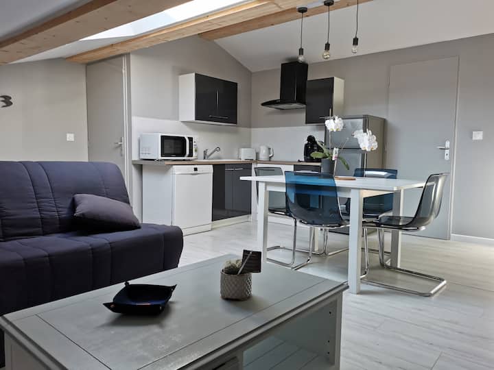 Charmant Appartement - Gap