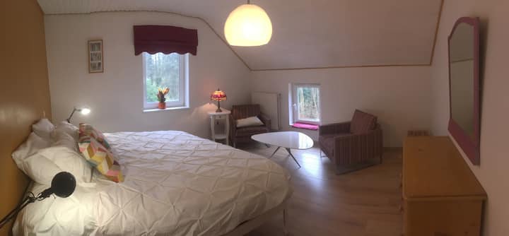 Chambre (Studio) Au Calme. Lit King Size. - Mettet