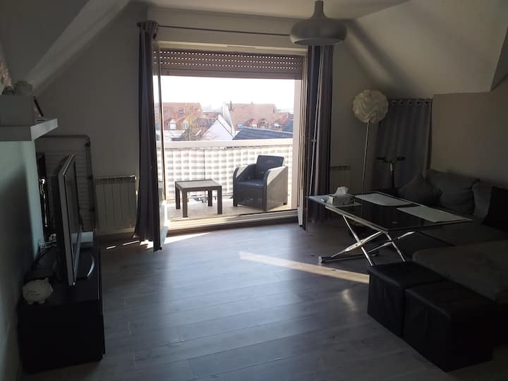 Appartement Dans Une Résidence Au Calme 2 Pers. - La Wantzenau