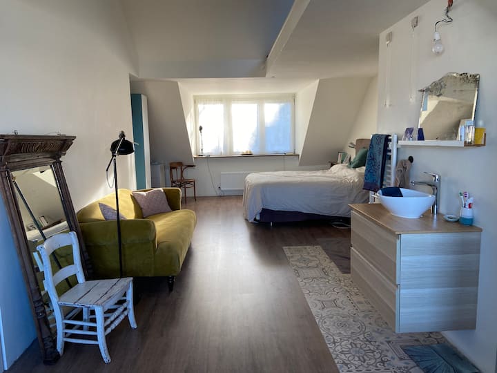 Grande Chambre à Forest (Brussels- Parc Duden) - Uccle
