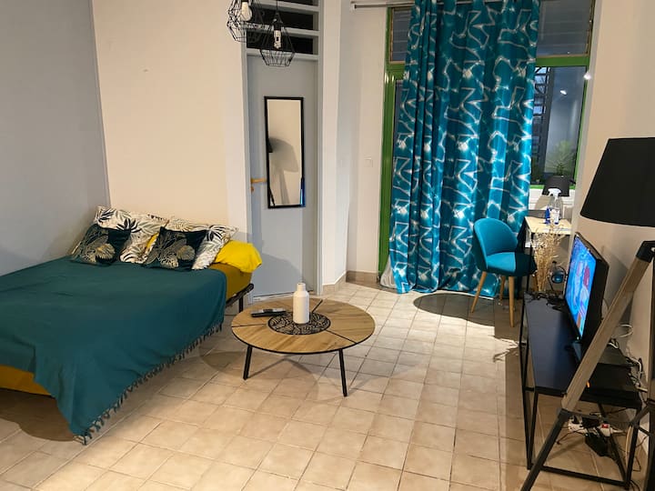 Charmant Studio Meublé Tout Confort - Cayenne