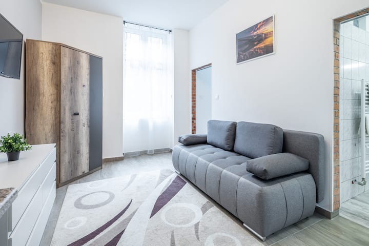 Central And Homey Flat With Good Transport Link 3 - Budapeszt