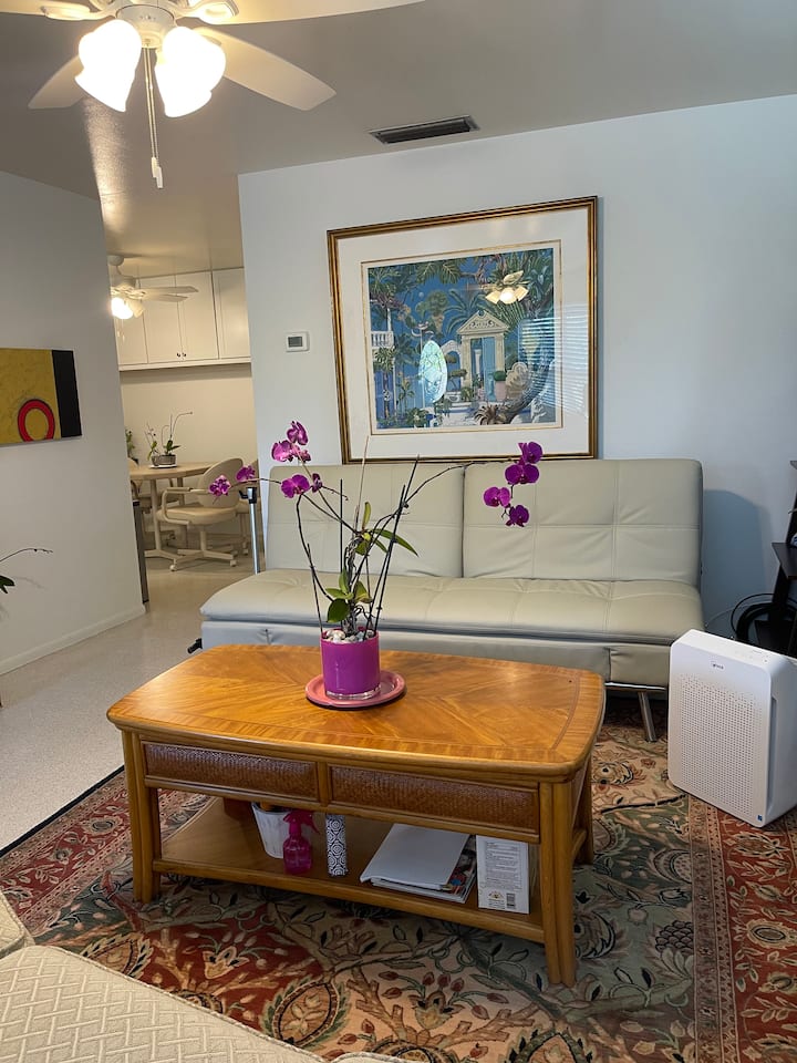 Comfort In Downtown Naples - Naples
