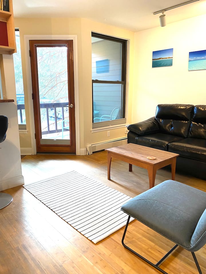 Fantastic Downtown Condo, Walk To Pearl Street - Boulder, CO