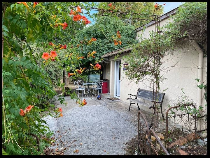 Gîte Le Figuier - Montignac