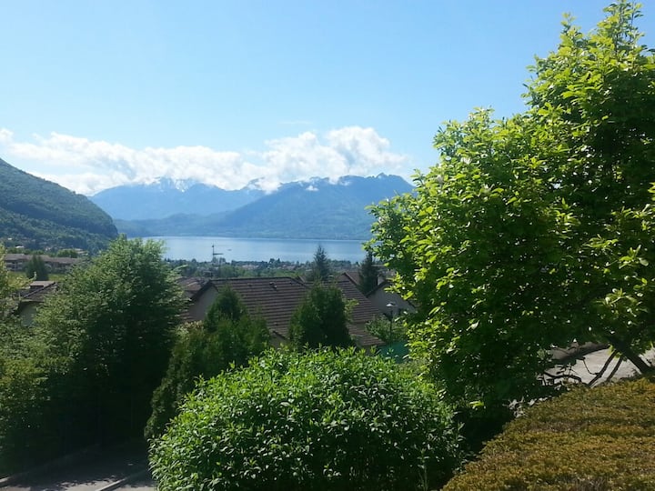 Jolie Studio Vue Imprenable - Annecy-le-Vieux