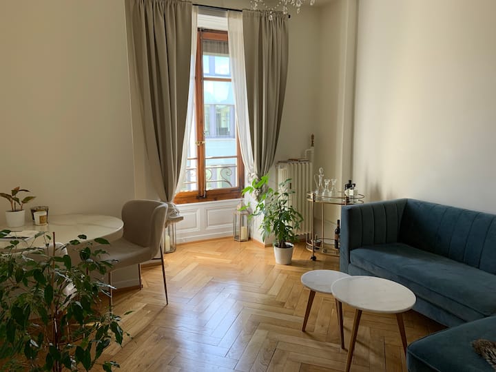 Lovely Bedroom - Fully Furnished Apartment In Gva - Genf