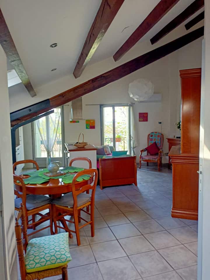 Bel Appartement De 50 M2, Calme, Au Centre - Béziers