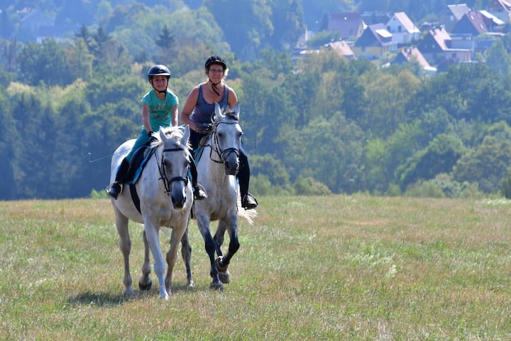Ferien Auf Dem Reiterhof - Sebnitz