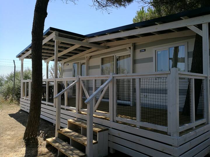 Lodge Deluxe Dog - Club Del Sole Jesolo - Lido di Jesolo