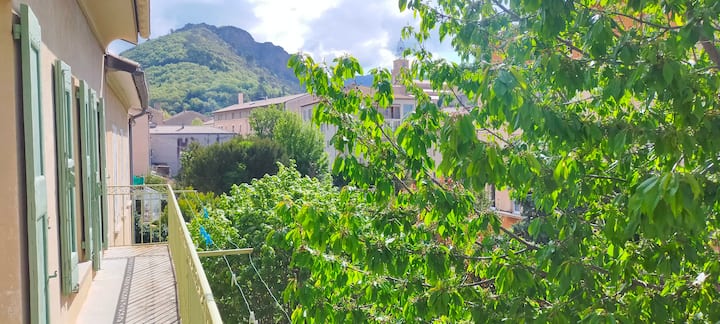 Une Oasis De Verdure En Plein Centre De Digne - Digne-les-Bains