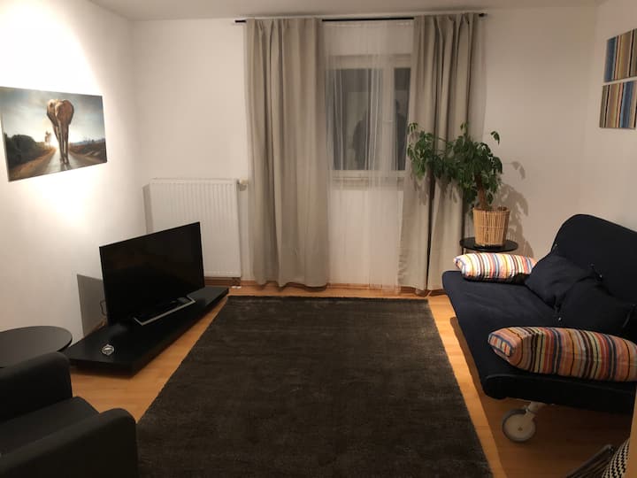 Wohnung 1 Altstadt - Ulm