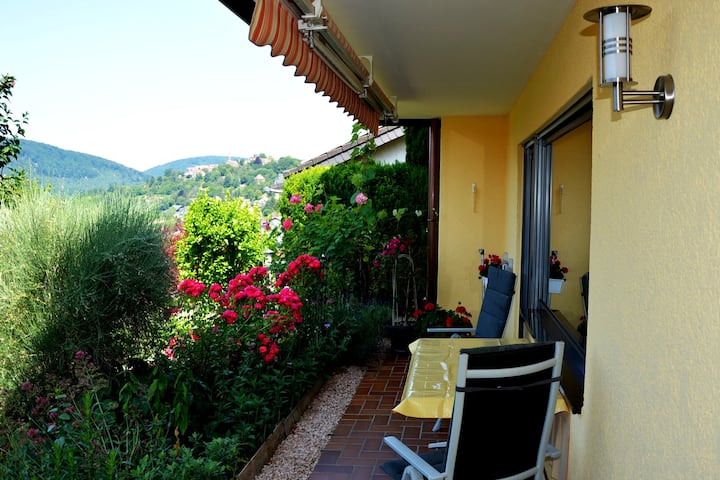Abendsonne Ferienwohnung - Neckarsteinach