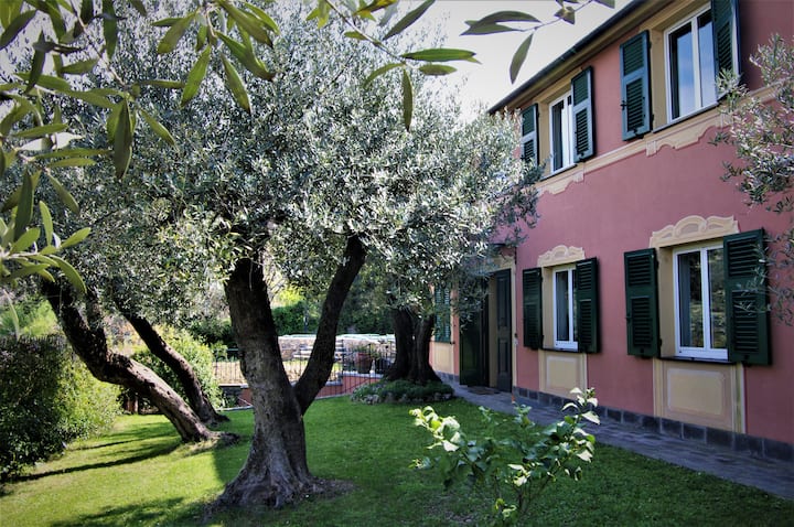 Villa Sofia Cit 010047-lt-0166 - Recco