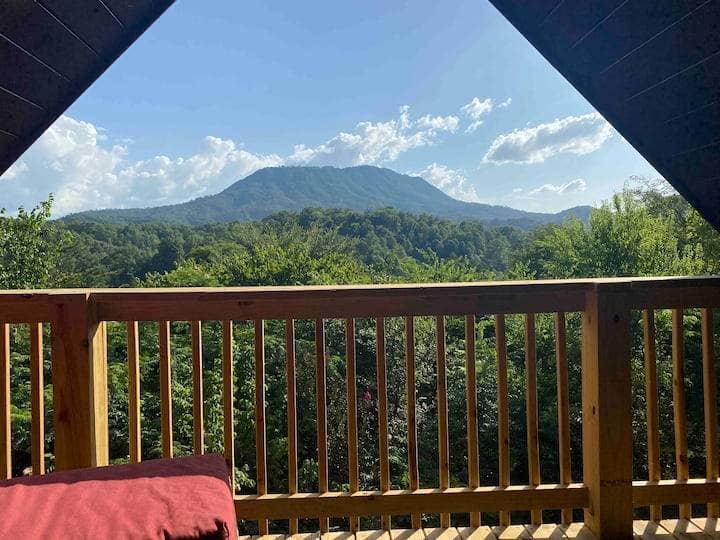 Great Views At "Bears, Turkeys, & Deer- Oh My!" - Sevierville, TN