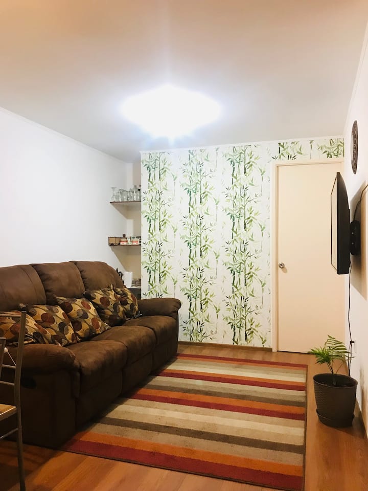 Cómoda Habitación, Por Día  Para 2 Personas - Punta Arenas