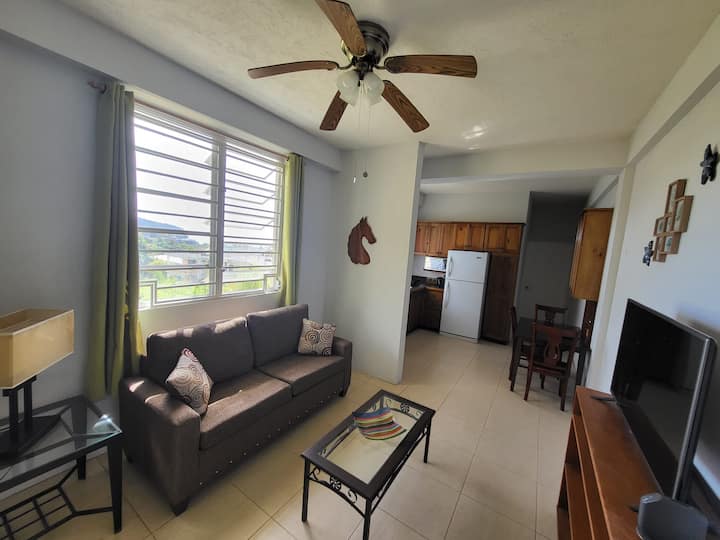 Balisier Apt 3 - 1 Bedroom Apt With Gorgeous View! - Dominique