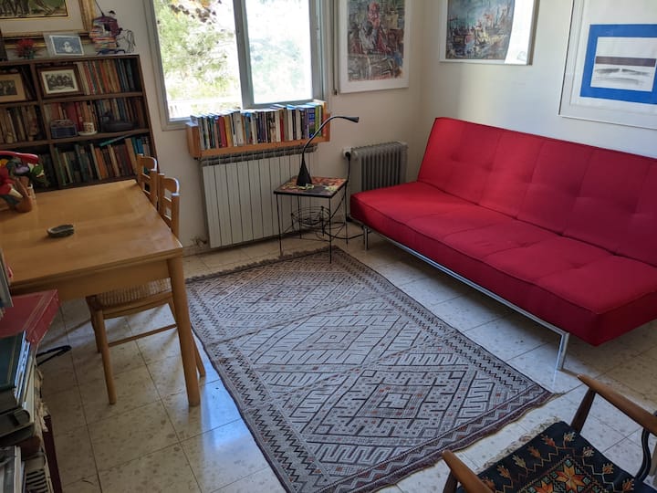 Lovely One Bedroom In A Nice Quiet Neighborhood - Jerusalem
