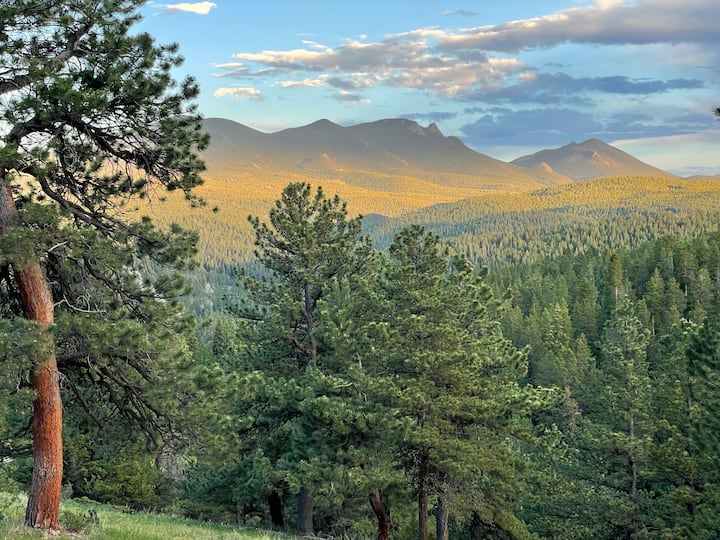 Quiet, Cozy Retreat On 5 Acres With Stunning Views - Nederland, CO
