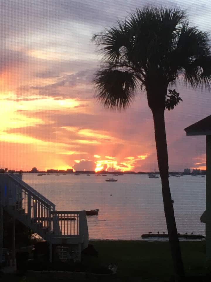 1 Bdrm Condo 30 Day+ Snowbird And Work Haven - St. Petersburg, FL