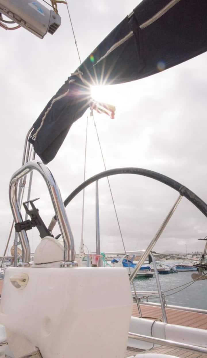 Macaronesian Sailor - Corralejo