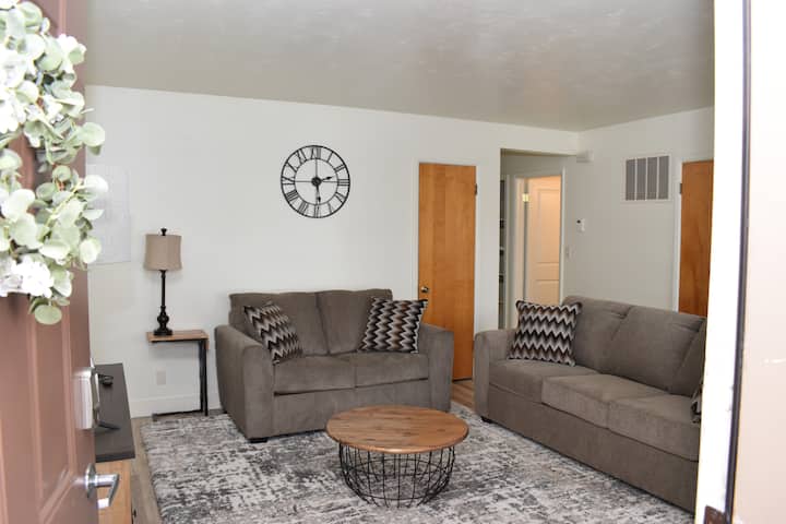 Executive Apt-awesome Wifi-central If - Idaho Falls, ID