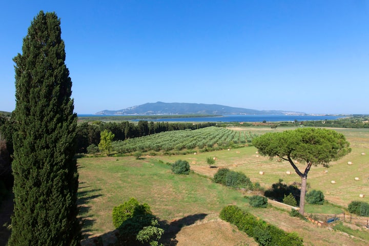 Appartamento Con 2 Camere - Agriturismo Grazia - Orbetello